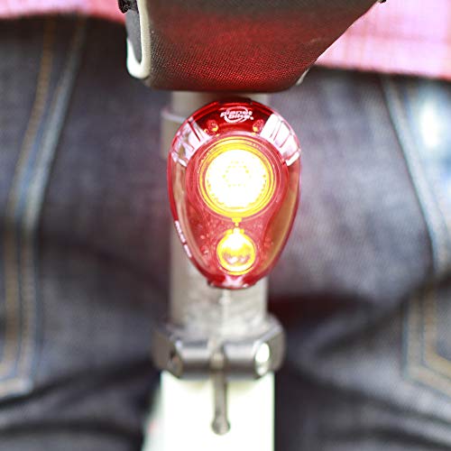 Planet Bike Rojo 100 USB Bike Tail Light