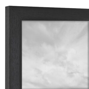 MCS Studio Gallery 11x17 Picture Frame Black Woodgrain, Rectangle Photo Frame for Photos, Posters & Art Prints (2-Pack)