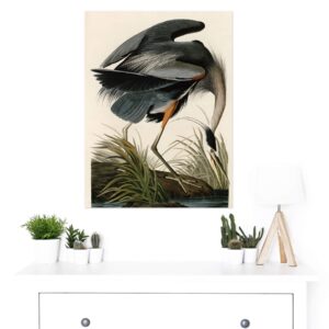 Artery8 Audubon Birds Great Blue Heron Painting Premium Wall Art Canvas Print 18X24 Inch