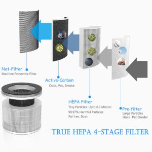 Tredy H13 Grade HEPA Air Purifier Replacement Filter for Smoke, Smokers, Dust, Odors, Pet Dander, TD-1500, 1 Pack