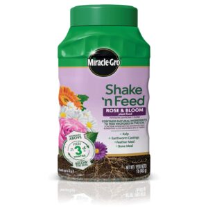 miracle-gro shake 'n feed rose and bloom plant food - promotes more blooms and spectacular colors (vs. unfed plants), feeds roses and flowering plants for up to 3 months, 1 lb.