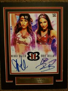 wwe nikki brie bella twins 11x14 matted namplate 8x10 photo autograph