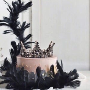 HaiMay 450 Pieces Black Feathers for Craft Wedding Home Party Decorations, 3-5 Inches Black Craft Feathers