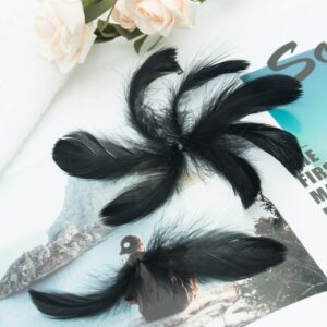 HaiMay 450 Pieces Black Feathers for Craft Wedding Home Party Decorations, 3-5 Inches Black Craft Feathers