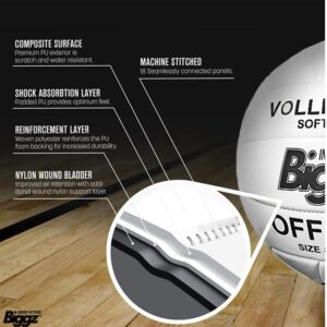 Biggz (Pack of 12) Volleyballs - Soft Touch Leather - Indoor/Outdoor