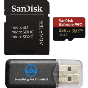 SanDisk 256GB Micro SDXC Memory Card Extreme Pro Works with Insta360 One X, Insta360 EVO Action Camera U3 V30 4K A2 Class 10 (SDSQXCZ-256G-GN6MA) Bundle with (1) Everything But Stromboli Card Reader