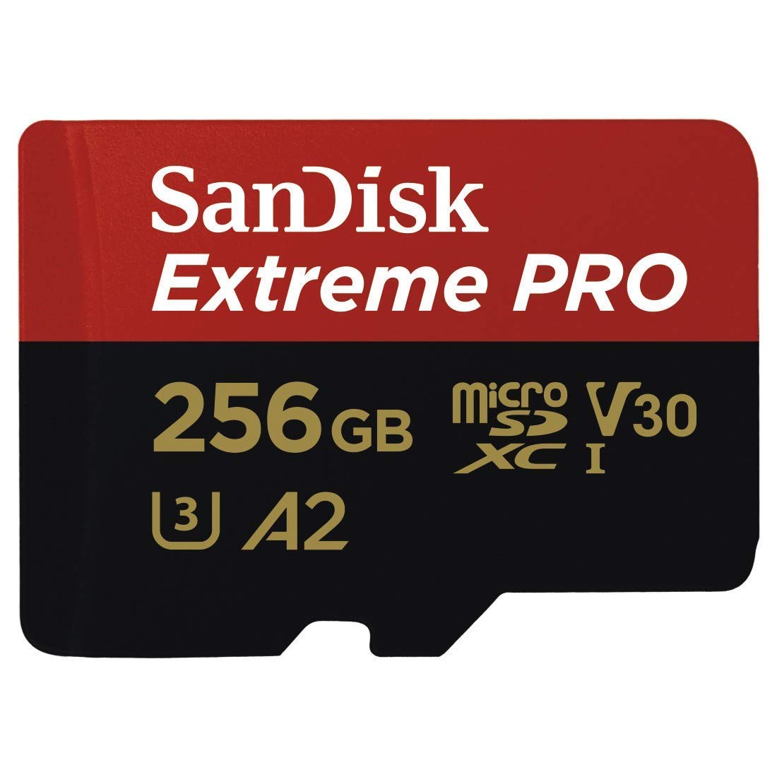 SanDisk 256GB Micro SDXC Memory Card Extreme Pro Works with Insta360 One X, Insta360 EVO Action Camera U3 V30 4K A2 Class 10 (SDSQXCZ-256G-GN6MA) Bundle with (1) Everything But Stromboli Card Reader