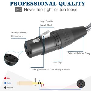 JOLGOO XLR Female to 1/4 Inch 6.35mm TRS Plug Balanced Interconnect Cable, XLR to Quarter inch Patch Cable, 3.3 Feet, for Microphone,Mixer,Guitar,AMP,Speakers