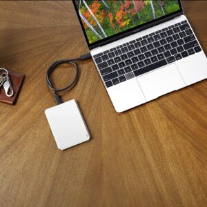 LaCie Mobile Drive 2TB External Hard Drive HDD – Moon Silver USB-C USB 3.0, for Mac and PC Computer Desktop Workstation Laptop (STHG2000400) (Renewed)