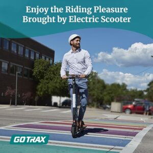 Gotrax XR Elite Electric Scooter, 8.5" Pneumatic Tire, Max 18 Mile and 15.5Mph by 300W Motor, Bright Headlight and Taillight, Aluminum Alloy Frame and Cruise Control, Foldable Escooter for Adult Black