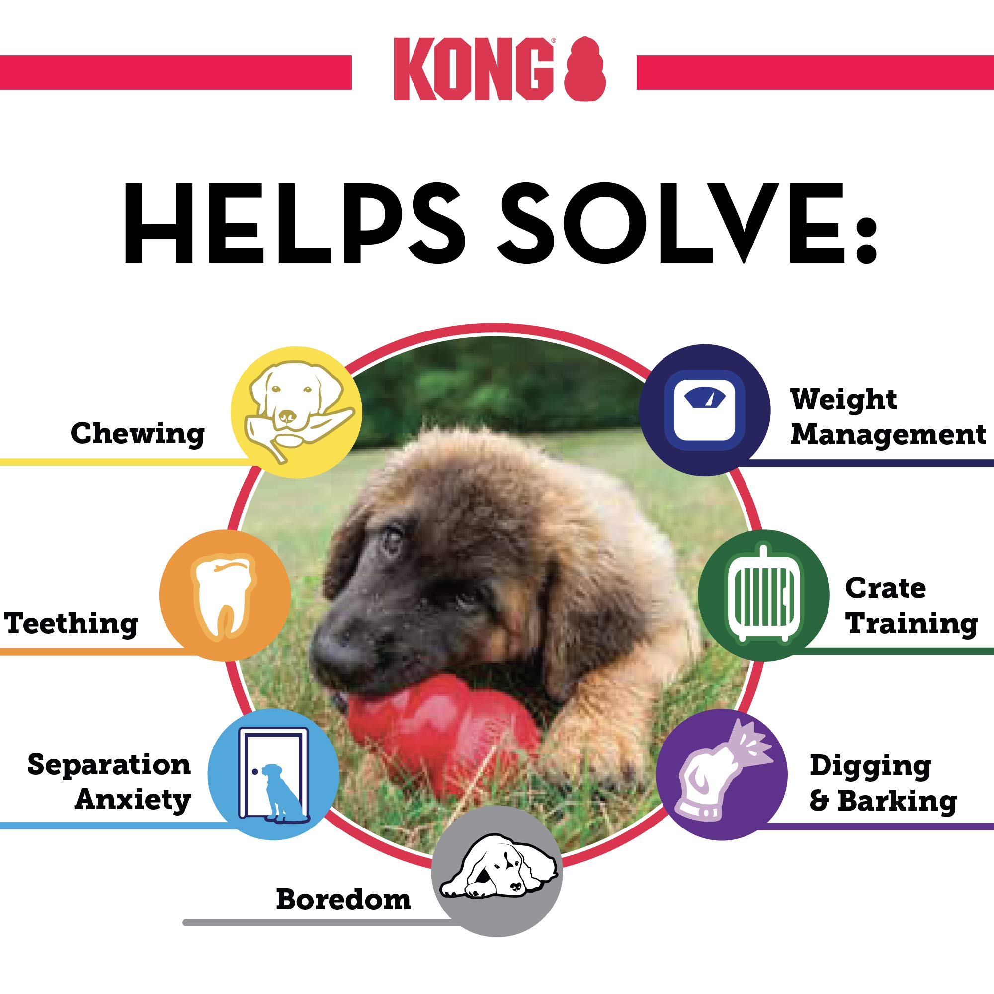 KONG - Puppy Toys for Teething with Puppy Easy Treat Stuffing (Colors May Vary) - for Medium Puppies