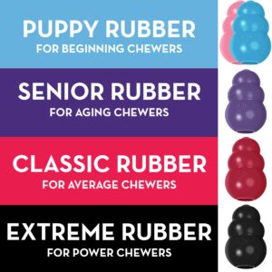 KONG - Puppy Toys for Teething with Puppy Easy Treat Stuffing (Colors May Vary) - for Medium Puppies