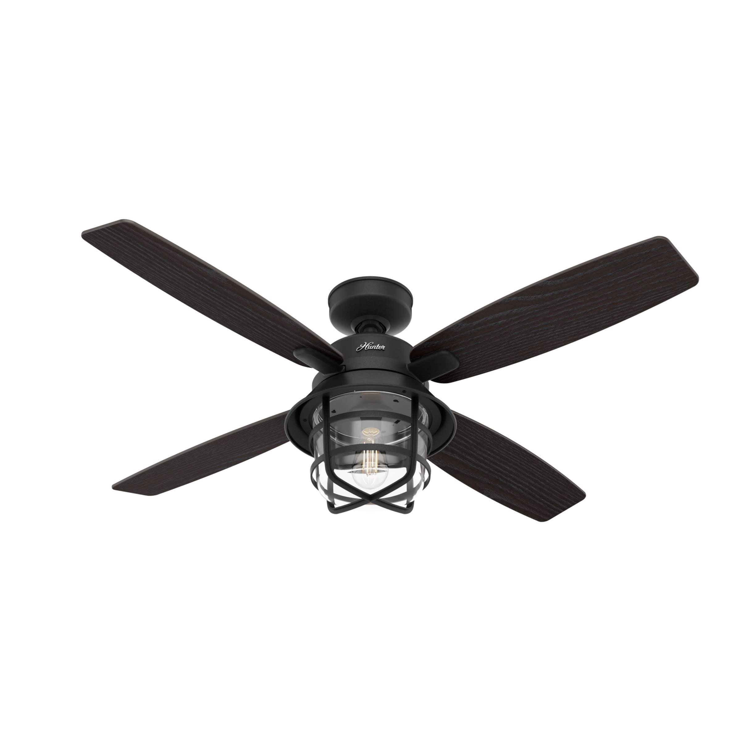 Hunter Fan Company 50391 Hunter Port Royale Ceiling Fan with LED Light and Remote Control, Natural Iron Finish, 52