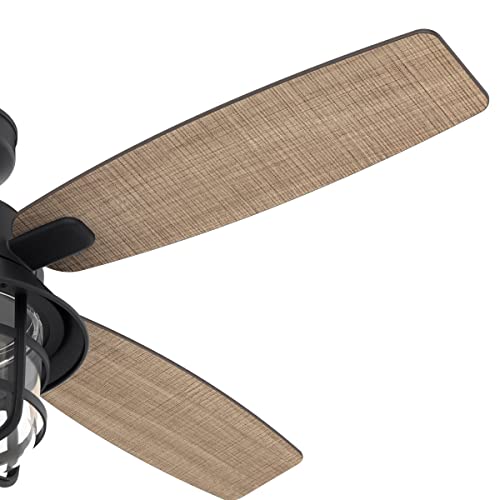 Hunter Fan Company 50391 Hunter Port Royale Ceiling Fan with LED Light and Remote Control, Natural Iron Finish, 52