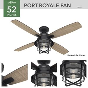 Hunter Fan Company 50391 Hunter Port Royale Ceiling Fan with LED Light and Remote Control, Natural Iron Finish, 52