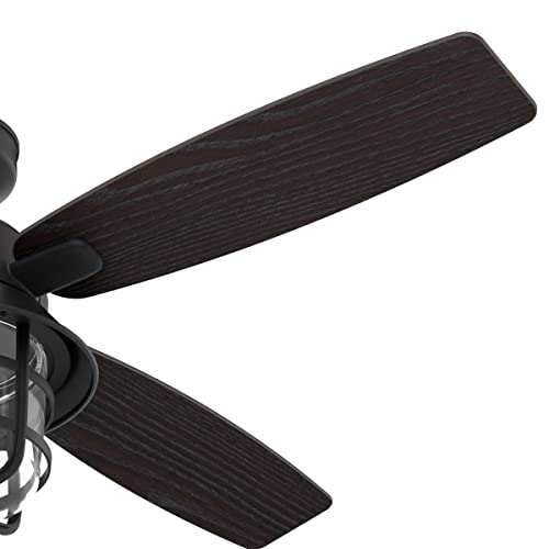 Hunter Fan Company 50391 Hunter Port Royale Ceiling Fan with LED Light and Remote Control, Natural Iron Finish, 52