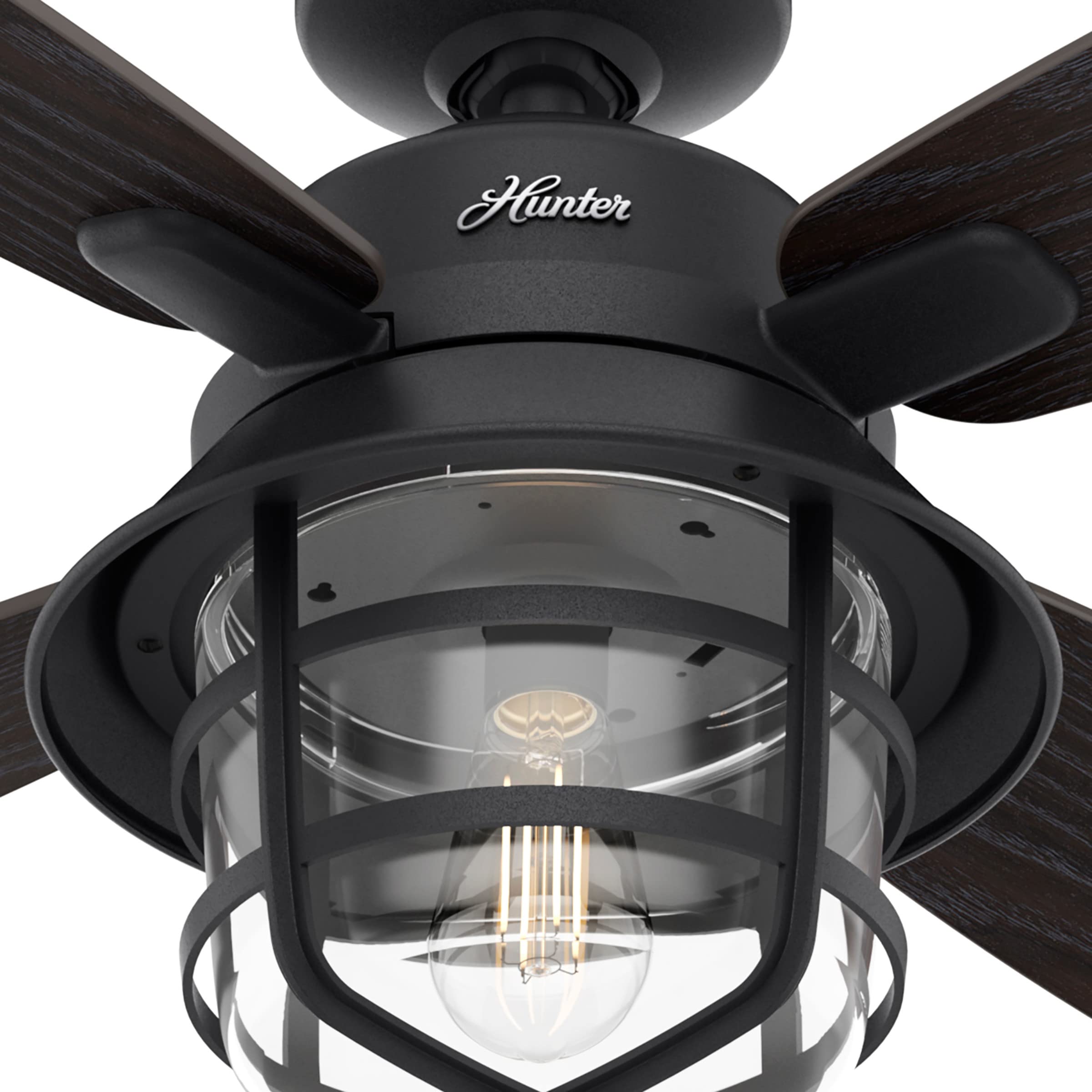 Hunter Fan Company 50391 Hunter Port Royale Ceiling Fan with LED Light and Remote Control, Natural Iron Finish, 52