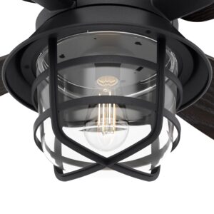 Hunter Fan Company 50391 Hunter Port Royale Ceiling Fan with LED Light and Remote Control, Natural Iron Finish, 52