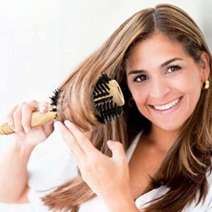 Wood Round Hair Brush with High-Density Boar Bristle for Blow Drying, Straightening, Styling Shoulder or Back Length Hair, Large Round Brush 1.2" Roller, 2.4" with Bristles