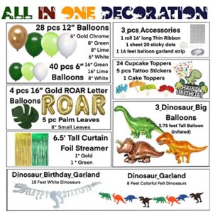 Dinosaur Party Decorations, Dinosaur Birthday Party Supplies & PDF Downloads, for Boys Girls, Dino Party Decorations with Jurassic Park Fringe Backdrop, Godzilla T Rex Balloons, 3, 4 year old (GOLD)