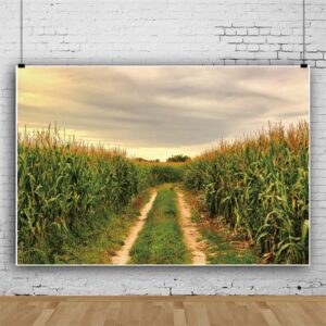 YongFoto 10x8ft Autumn Farmland Backdrop Green Cornfield Scene Photography Background Nature Landscape Rural Small Road Countryside Fall Harvest Theme Party Decor Kids Adult Portrait Studio Props