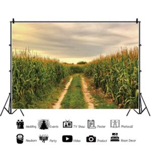 YongFoto 10x8ft Autumn Farmland Backdrop Green Cornfield Scene Photography Background Nature Landscape Rural Small Road Countryside Fall Harvest Theme Party Decor Kids Adult Portrait Studio Props