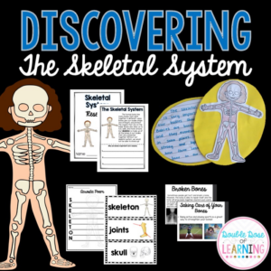 human body systems: skeletal system research unit with powerpoint