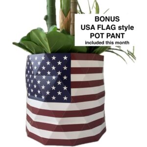 Deluxe 78" Golden Cane Palm Artificial Tree + Premium Fiddle Leaf Foliage in 8" Base + 12" Plant Pot Skirt + Bonus USA Flag Style Pot Pant