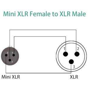 JOMLEY Mini XLR to XLR Cable, 3 Pin Mini XLR Female (TA3F) to Regular XLR Male Pro Lapel Microphone Cable - 1ft