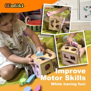 WALIKI Pounding Bench with Hammer, Wood Shape Sorter Box, Rainbow Stacker, Pastel Colors, Complete Set (3 Wooden Toys Bundle)