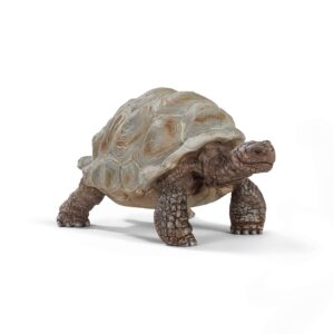 schleich wild life realistic exotic galapagos giant tortoise figurine - wild animal figurine giant tortoise toy for wildlife play and imagination for toddlers boys and girls, gift for kids age 3+