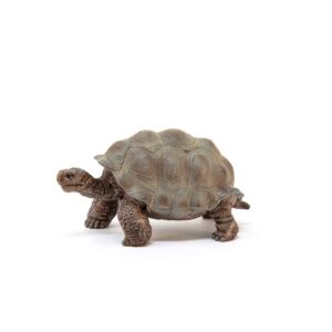 Schleich Wild Life Realistic Exotic Galapagos Giant Tortoise Figurine - Wild Animal Figurine Giant Tortoise Toy for Wildlife Play and Imagination for Toddlers Boys and Girls, Gift for Kids Age 3+