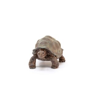 Schleich Wild Life Realistic Exotic Galapagos Giant Tortoise Figurine - Wild Animal Figurine Giant Tortoise Toy for Wildlife Play and Imagination for Toddlers Boys and Girls, Gift for Kids Age 3+