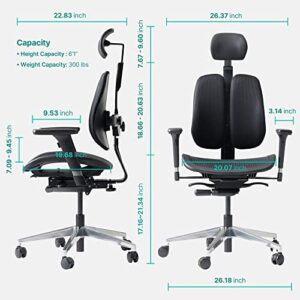 Duorest [Dual-backrests Alpha - Ergonomic Office Chair, Home Office Desk Chairs, Executive Office Chair, Best Office Chair for Lower Back Pain, Mesh Office Chair, Office Desk Chair (Black)