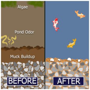 Muck Remover GP - 150 Pellets | Koi Pond Sludge Remover | Safe for Fish | Treats 5,000 Gallons up to 5 Months