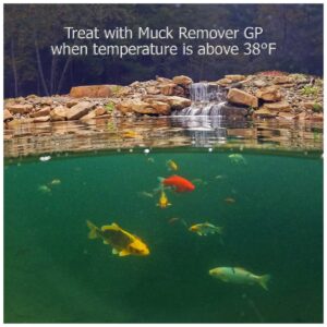 Muck Remover GP - 150 Pellets | Koi Pond Sludge Remover | Safe for Fish | Treats 5,000 Gallons up to 5 Months