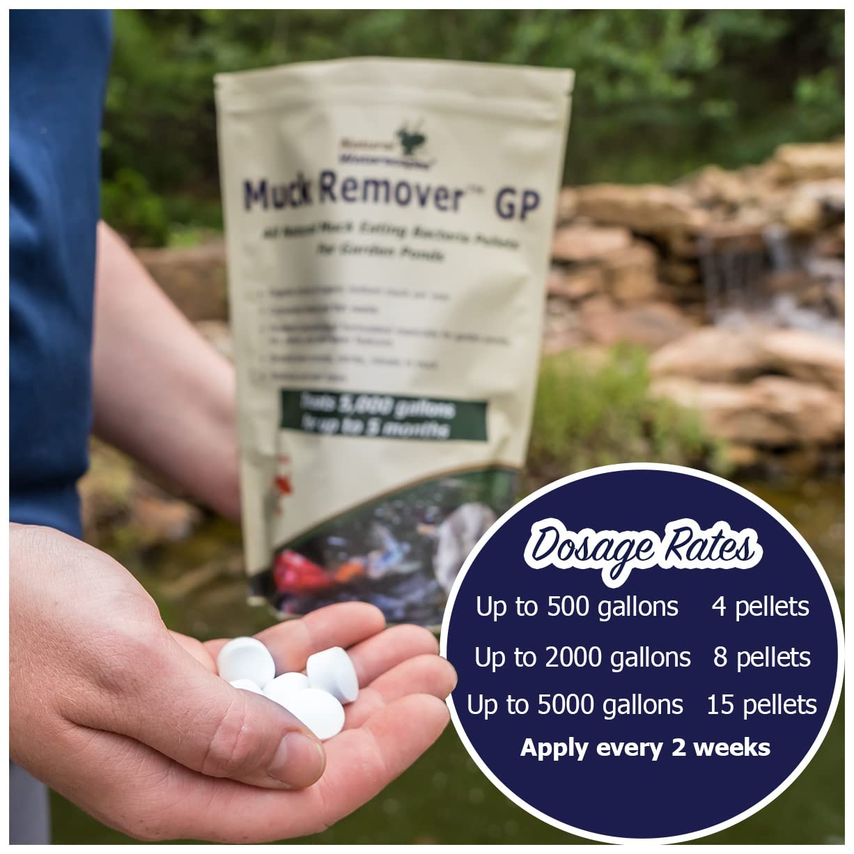 Muck Remover GP - 150 Pellets | Koi Pond Sludge Remover | Safe for Fish | Treats 5,000 Gallons up to 5 Months