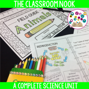 science unit: animals and animal ecosystems (lesson plans and student activities)