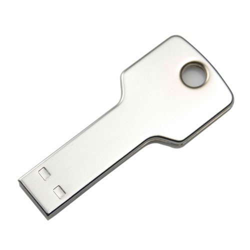 Lot 10 2GB Key Shape USB 2.0 Flash Drive 2G Metal Memory Pen Stick Thumb Drive Wholesale Bulk Pack (2GB, Silver (Stainless Steel))