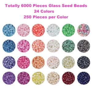 EuTengHao 6000pcs Glass Seed Beads Small Craft Beads for DIY Bracelet Necklaces Crafting Jewelry Making Supplies with Two 0.8mm Clear Bracelet String (4mm, 250 Per Color, 24 Colors)