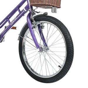 COEWSKE 20 Inch Kids Bike Bicycles Fantasy-Style, Children Toddler Girls Leisure Bicycle with Basket Kickstand Included Fit for 6-10 Years Old Or 49-57 Inch Kids (Purple)