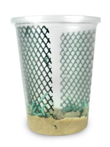 25-30 live hornworms with enough food to grow them to about 1-1/2 to 2" max.