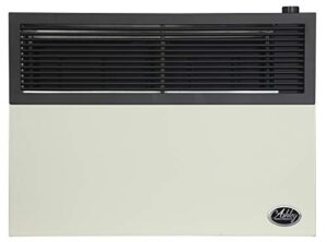 ashley hearth products dvag17n 17,000 btu direct vent natural gas heater, cream