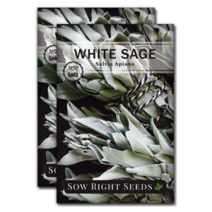 sow right seeds - white sage seed for planting - non-gmo heirloom packet with instructions for planting and growing a home herb garden - indoors or outdoors - make your own herbal incense (2)