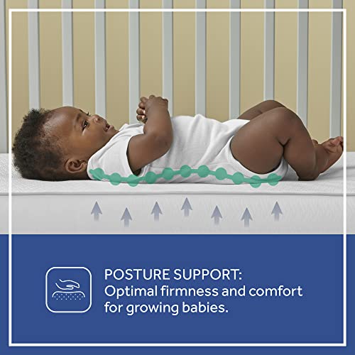 Sealy Posture Haven Orthopedic Antibacterial 2-Stage Dual Firm Waterproof Baby Crib Mattress & Toddler Bed Mattress, Non-Toxic, Air Quality Certified, 182 Premium Coils, Made in USA, 52"x28"