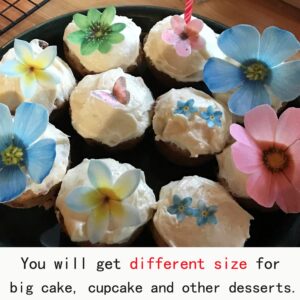 Set of 30 Edible Flowers & Butterflies Cupcake Toppers Wedding Cake Party Food Decoration Mixed Size & Colour