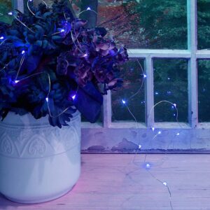 JosMega 2 Pack Solar Powered Fairy String Lights Outdoor Waterproof 8 Modes Twinkle Christmas Decorations Lights, Each 33ft-100LED, 40ft-120LED, 66ft-200LED, 80ft-240LED, (Blue, 33)