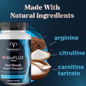 VitaFLUX Triple Power Nitric Oxide Supplement for Male Performance, Stamina, Energy, Recovery - L Arginine 2000mg, L Carnitine 1000mg, Zinc, Magnesium - Amino Acids, 180 Capsules