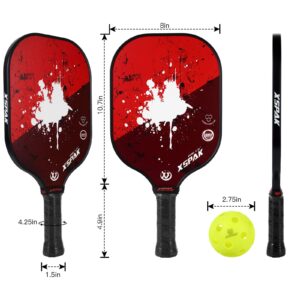 XS XSPAK Pickleball Paddles Set of 2, USAPA Graphite Pickleball Rackets Set Including Bag, 4 Pickleball Balls, Feature Premium Graphite Face and Polypropylene Honeycomb Core, Lightweight Pickleball