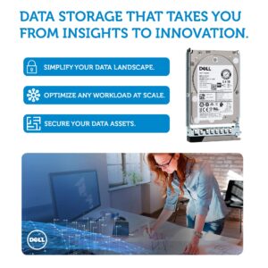 Dell 401-ABHQ 2.4TB 10K SAS 2.5-Inch PowerEdge Enterprise Hard Drive in 14G Tray Bundle with Compatily Screwdriver Compatible with R940XA R840 R440 R640 R6415 R740 R740XD R7415 R7425 R940